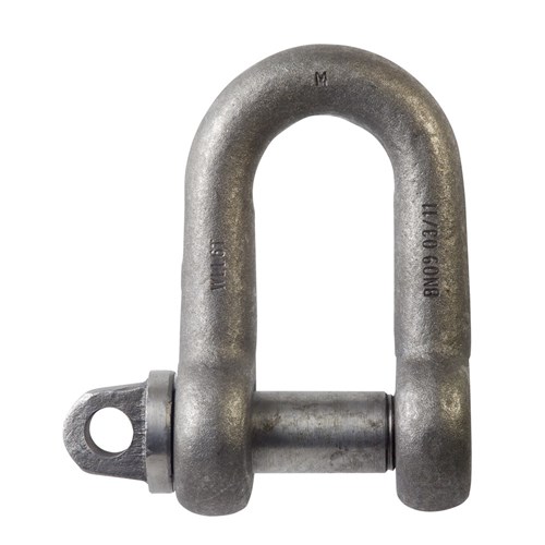 Buy SHACKLE D BLACK M10 X 13 GRADE M (WLL 0.5 T) at CDATA ...
